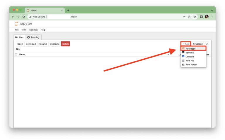 How To Install Python Sql And Bash For Non Devs