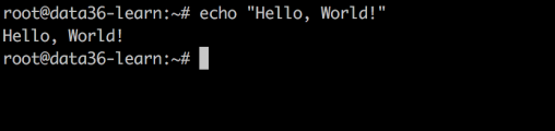 How To Install Python Sql And Bash For Non Devs