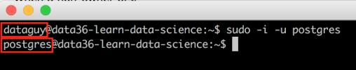 How To Install Python Sql And Bash For Non Devs