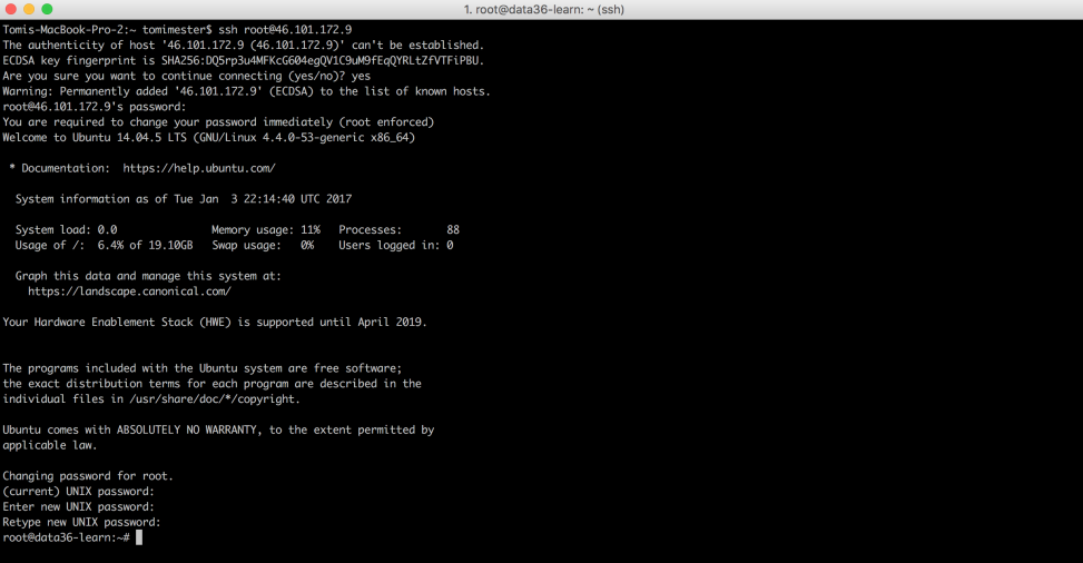 How To Install Python Sql And Bash For Non Devs