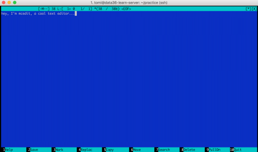 Command Line Tools for Data Science - Intro to Bash - episode 3