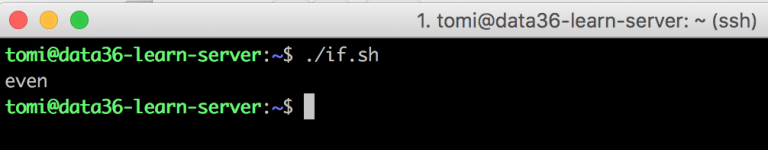 Variables If Statements And While Loops In Bash Data Coding 101 5465