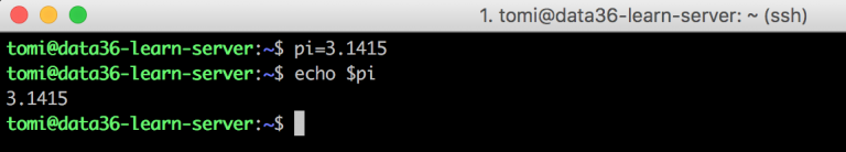 Variables If Statements And While Loops In Bash Data Coding 101