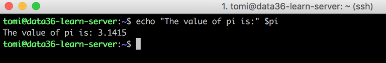 Variables If Statements And While Loops In Bash Data Coding 101