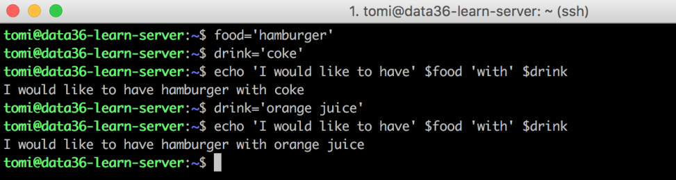Variables, if statements and while loops in bash (Data Coding 101)