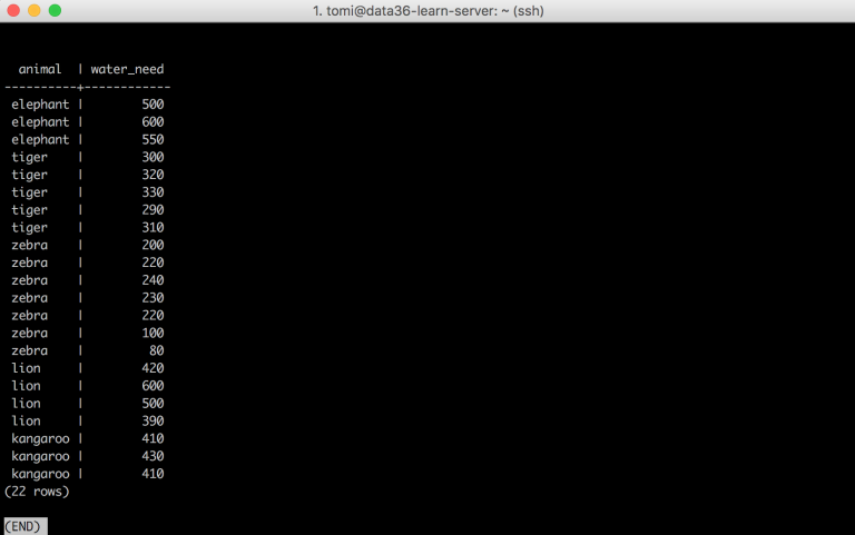 SQL for Data Analysis - Tutorial for Beginners - ep1 - Data36