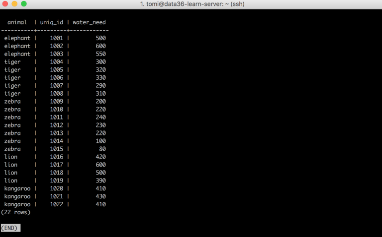 SQL for Data Analysis - Tutorial for Beginners - ep1 - Data36