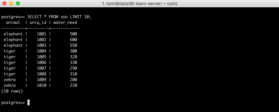 SQL for Data Analysis - Tutorial for Beginners - ep1 - Data36