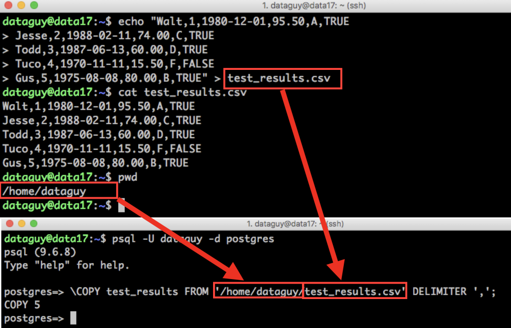 Peluz Trei Vizibil Insert Into Table From Csv File La Timp Buton Crizantem 