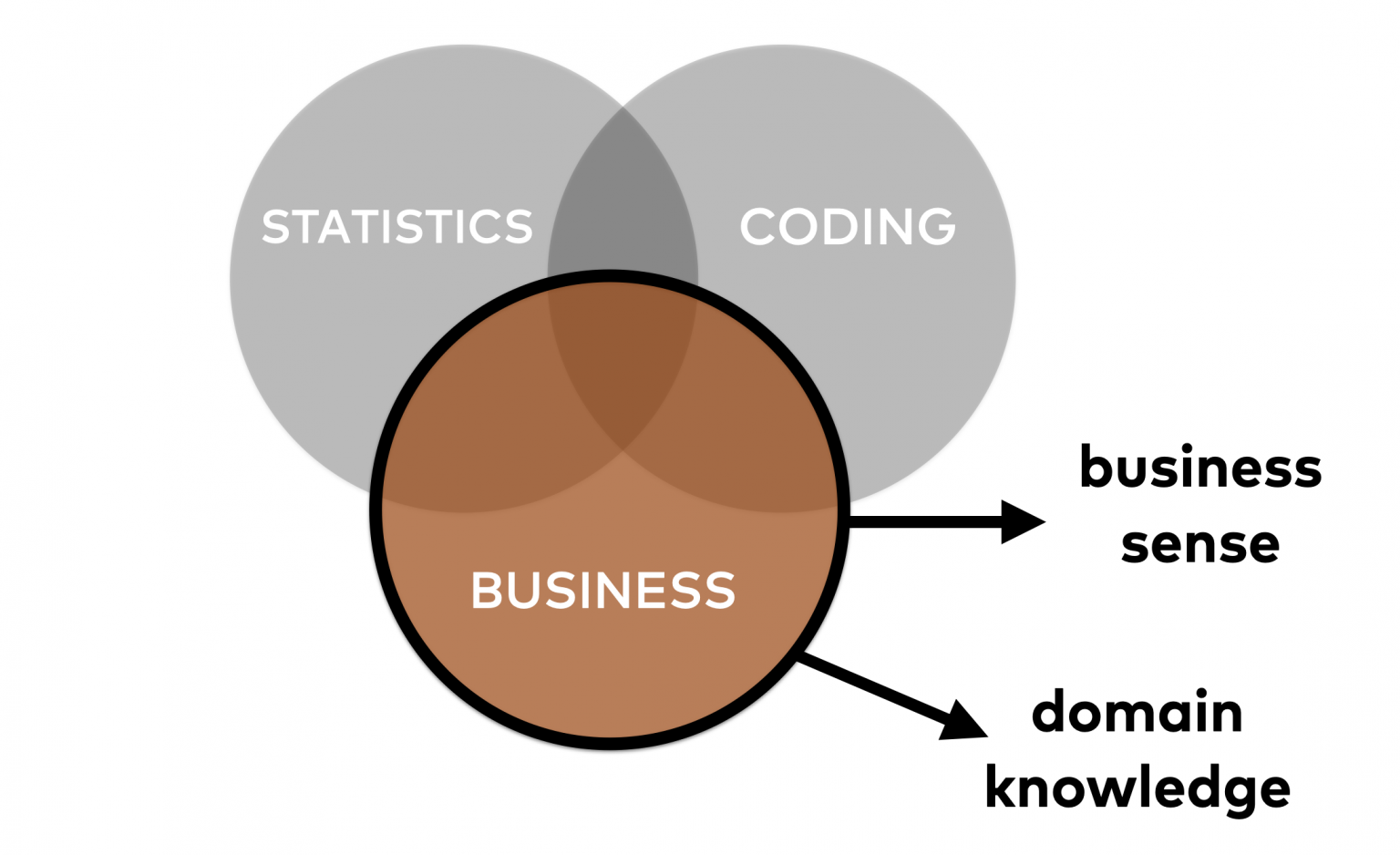 Domain Knowledge in a Specific Field: Is it Important for a Data Scientist?