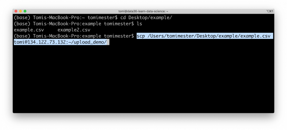 How to Upload your Dataset to a Server (2 Simple Solutions)