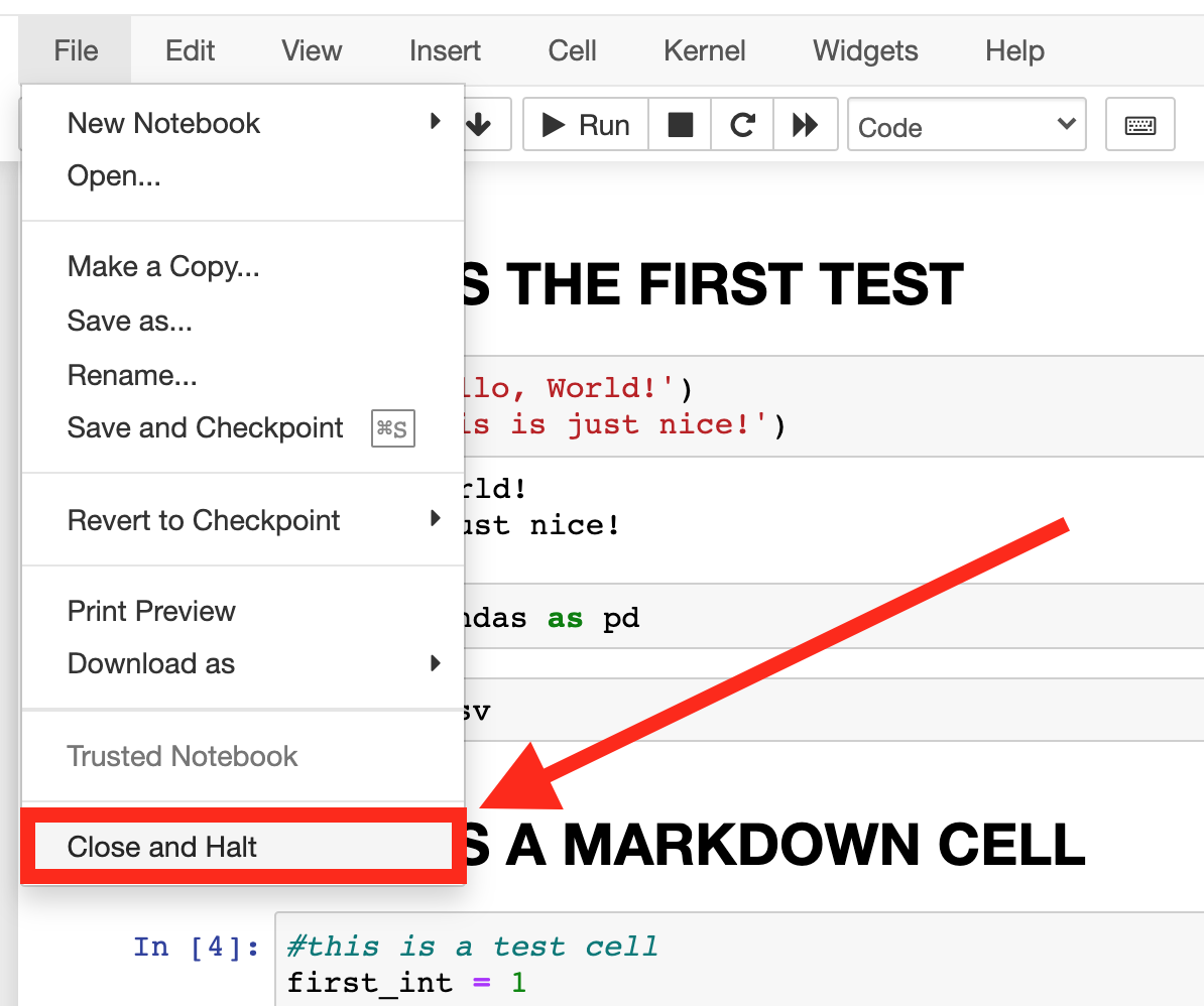 How To Use Jupyter Notebook In 2020 A Beginners Tutorial HOT GIRL